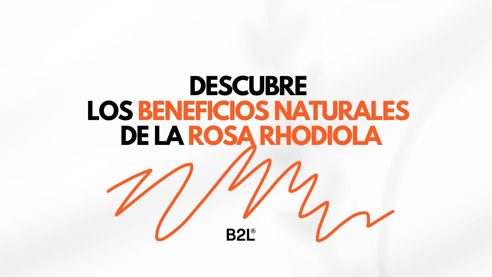 🌺 Rosa Rhodiola: El Adaptógeno que Transforma tu Bienestar - Pórtate ...